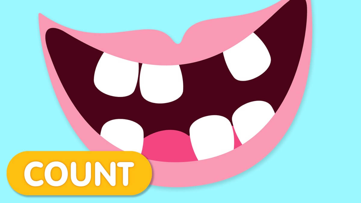 How Many Teeth Do You See? - Super Simple