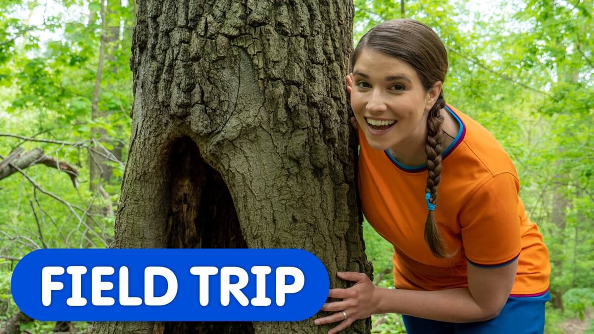 Trees - Super Simple