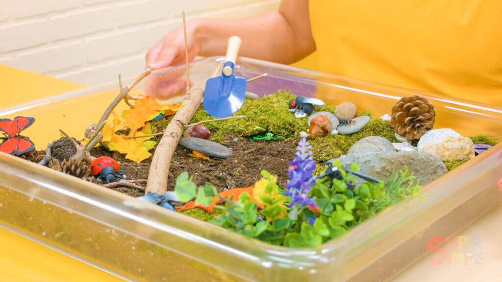 Amazing Bugs! - Super Simple