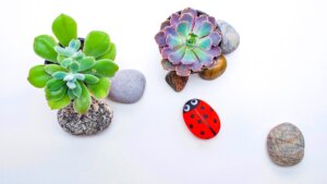 Make Your Own Rock Bugs! - Super Simple