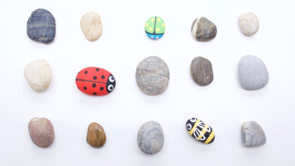 Amazing Bugs! - Super Simple