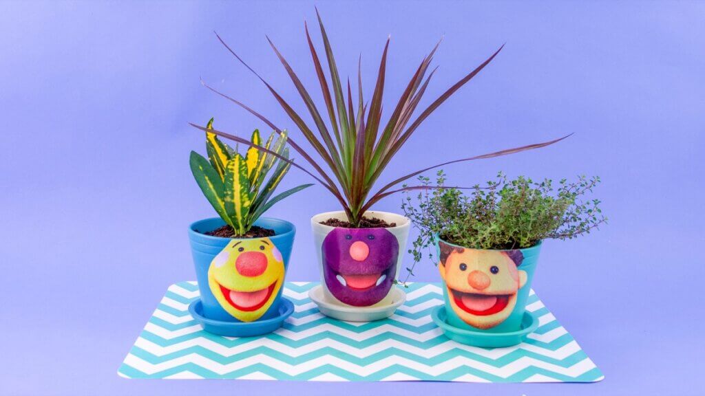 Super Simple Sprout Heads - Super Simple