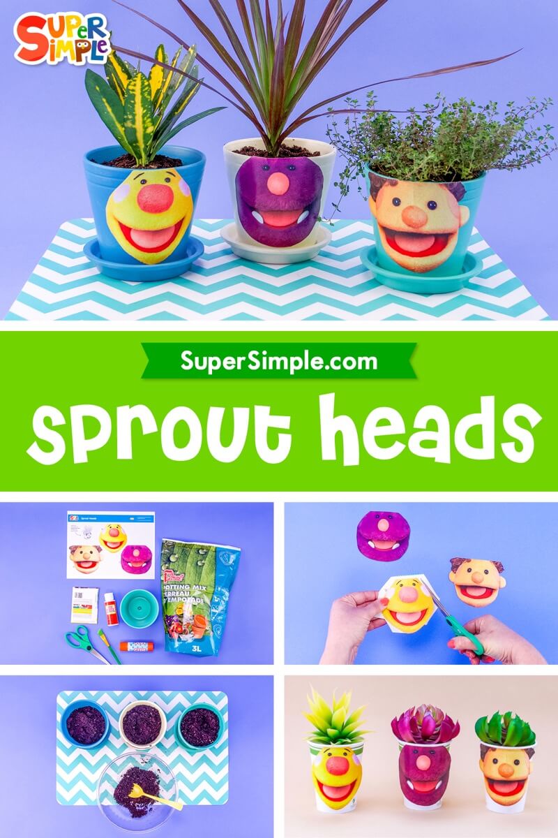 Super Simple Sprout Heads - Super Simple