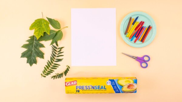 Leaf Rubbing Activity - Super Simple