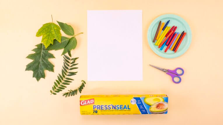 Leaf Rubbing Activity - Super Simple