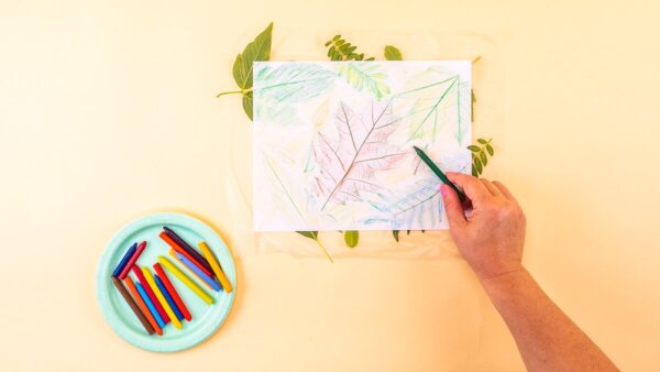 Leaf Rubbing Activity - Super Simple