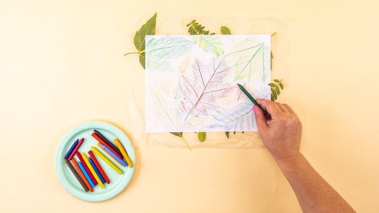 Leaf Rubbing Activity - Super Simple