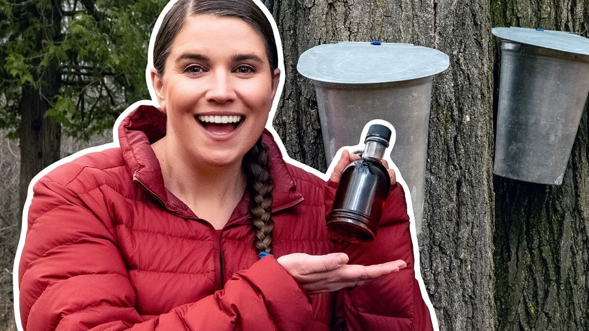 The Maple Syrup Song - Super Simple Songs