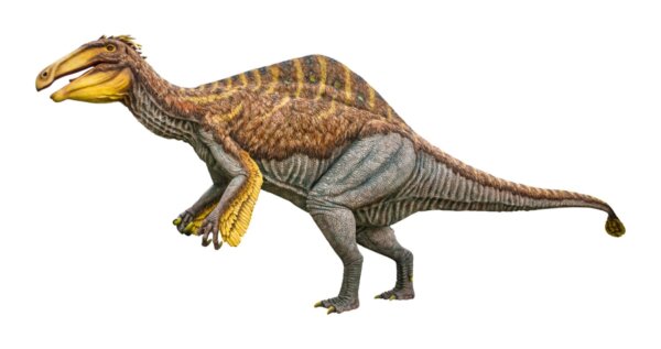 Dinosaurs Discoveries - Super Simple