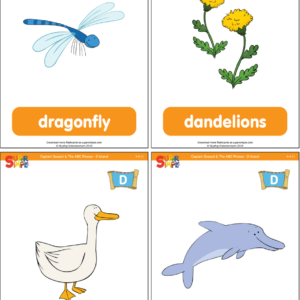 Hello! Flashcards - Super Simple