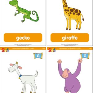 Hello! Flashcards - Super Simple