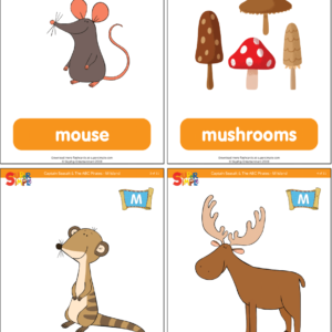 Hello! Flashcards - Super Simple