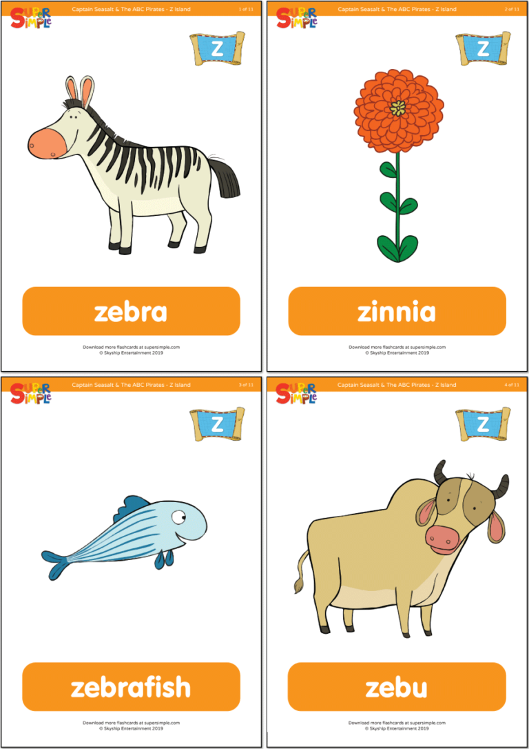 Captain Seasalt And The ABC Pirates "Z" Flashcards - Super Simple