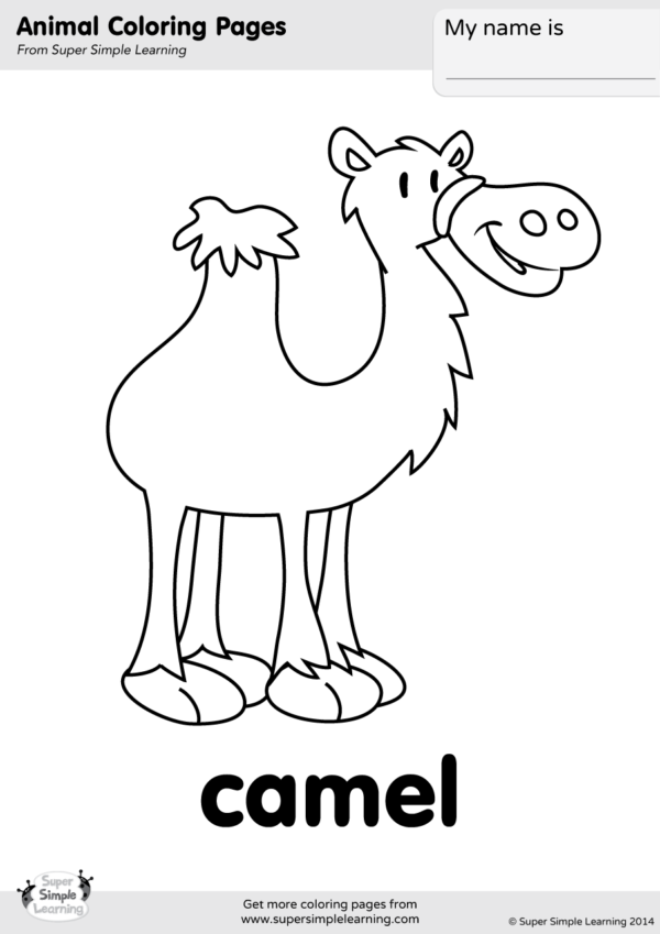 Camel Coloring Page - Super Simple